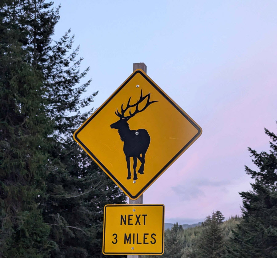 Highways & Byways | C. J. Milbrandt